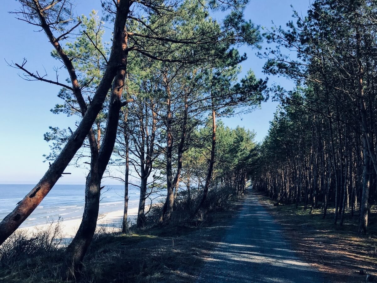 Velomapa - mapa rowerowa Polski - trasy i szlaki rowerowe