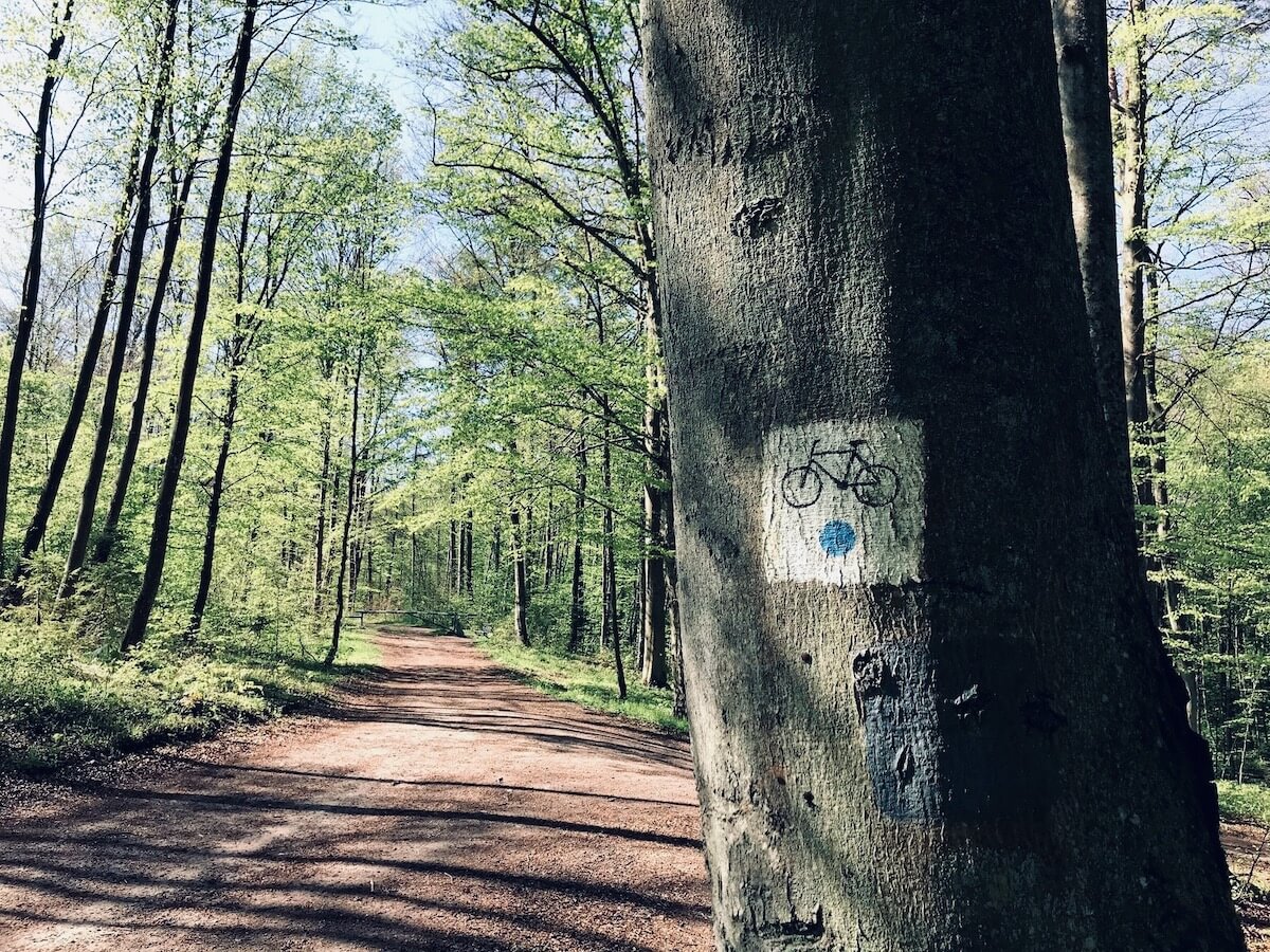 Velomapa - mapa rowerowa Polski - trasy i szlaki rowerowe